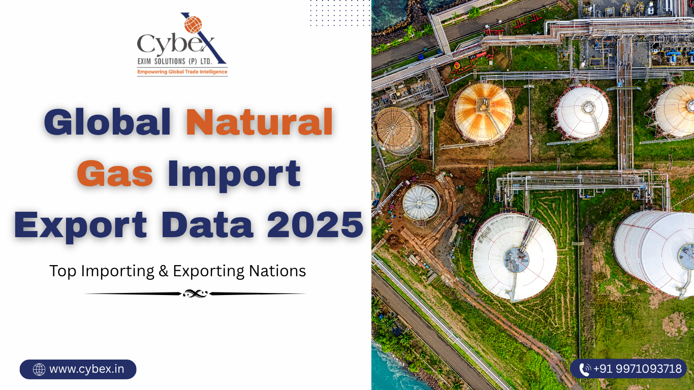 Global Natural Gas Trade 2025: Key Trends & Players