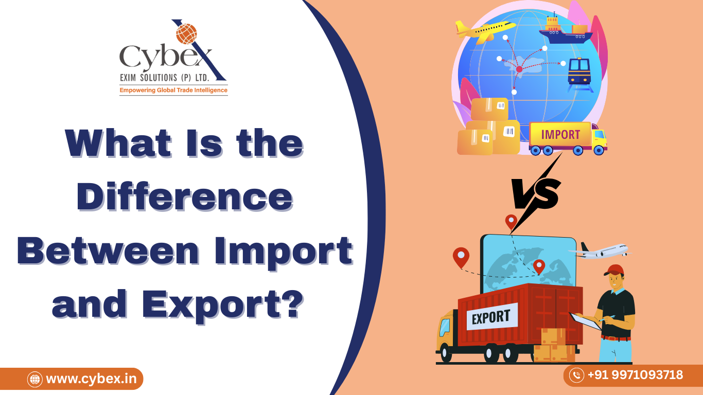 Difference Between Import and Export | Complete Guide 2025