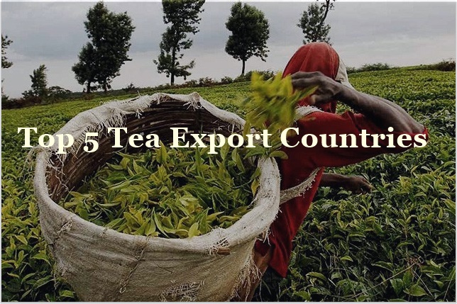 Which countries export the most tea?