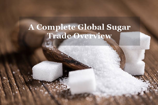 A Complete Global Sugar Trade Overview
